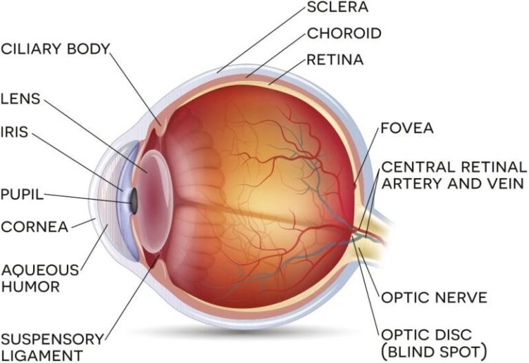 ITI CHNM Course Study Materials – Exam Winner
